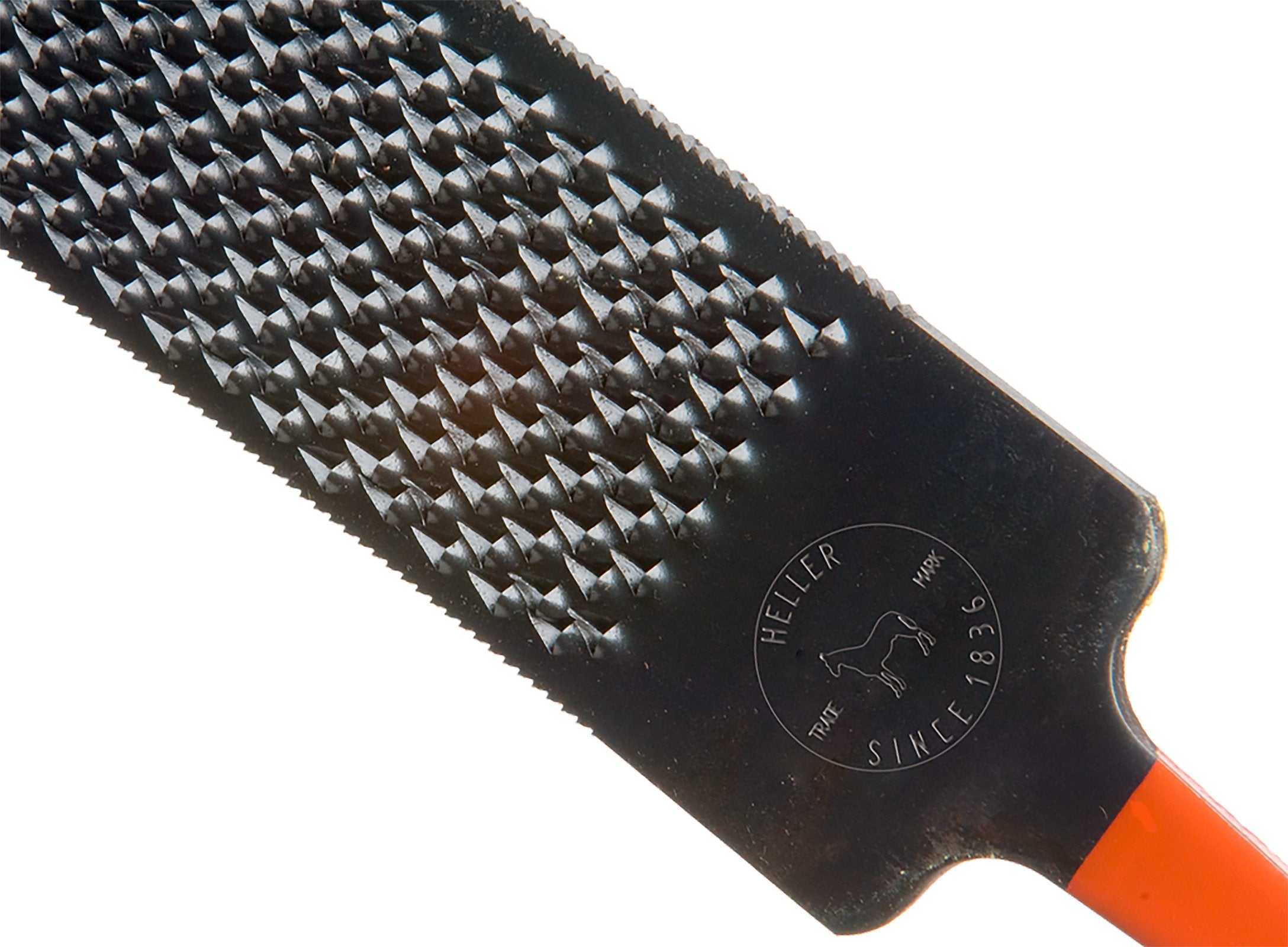 Black Master Hoof Rasp | Hoof Rasp – Anvil Brand